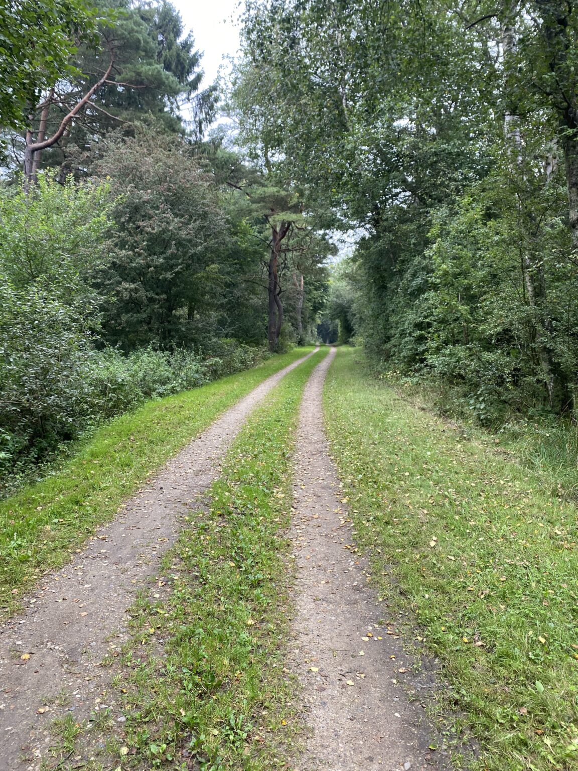 Fur Rundt • 22 km vandretur på den fantastiske Limfjordsø