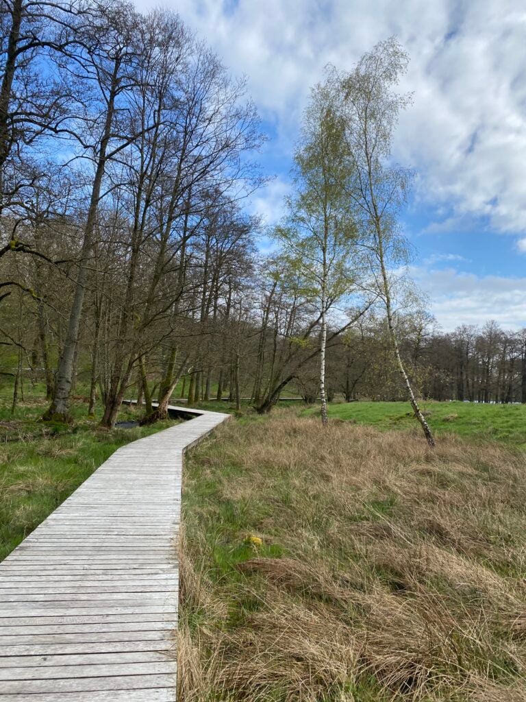 Hald Sø Rundt • Eventyrlig & naturskøn 18 km vandrerute